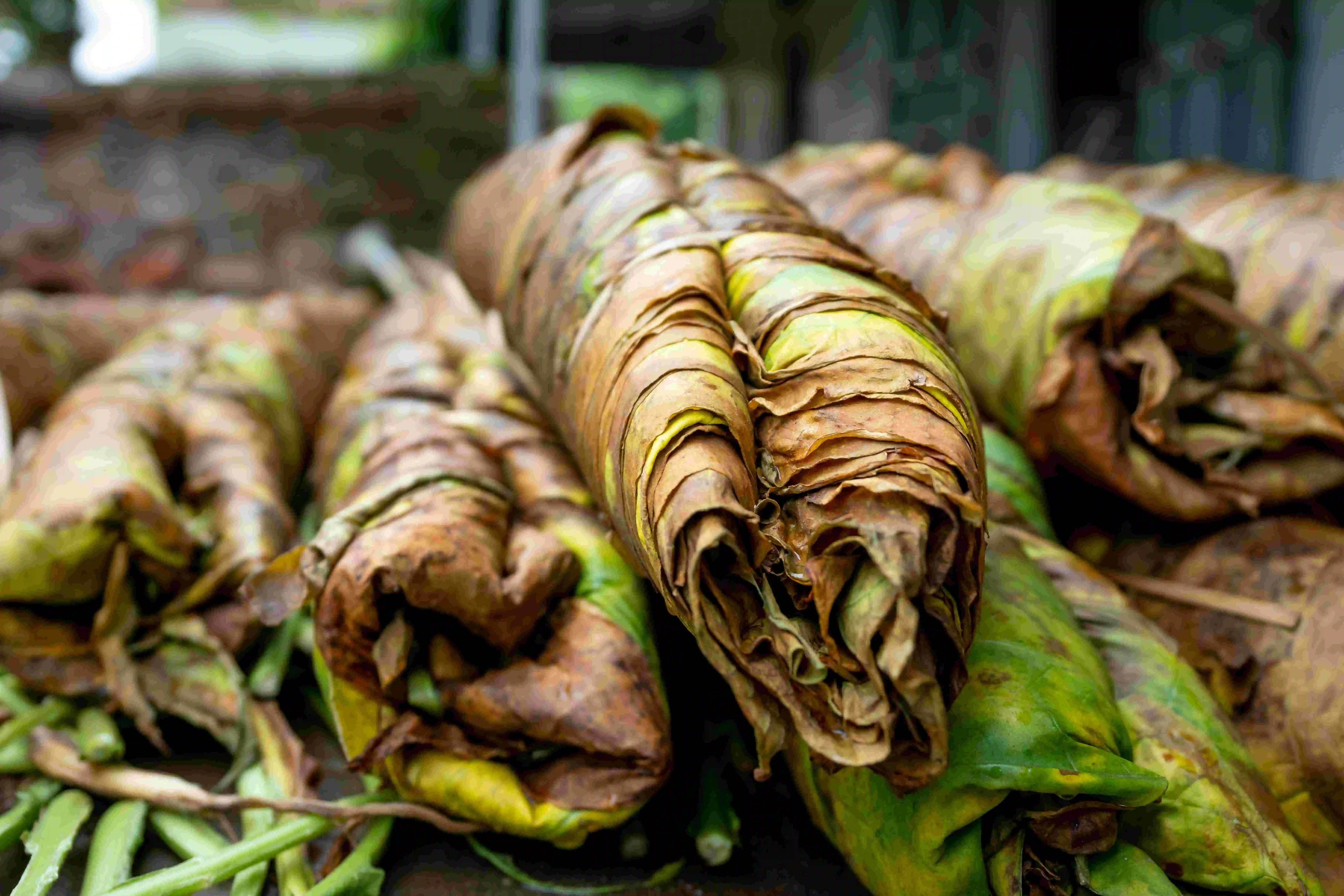 Mkwawa Leaf Tobacco | Quality Tobacco Products from Tanzania